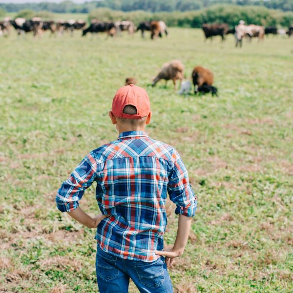 Iowa Cattlemen's Foundation